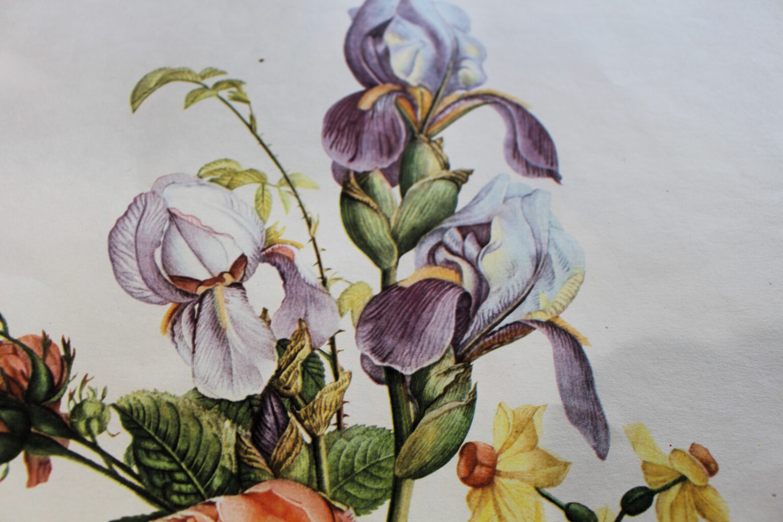 What Inspires Great Artists - Cottage Shoppe